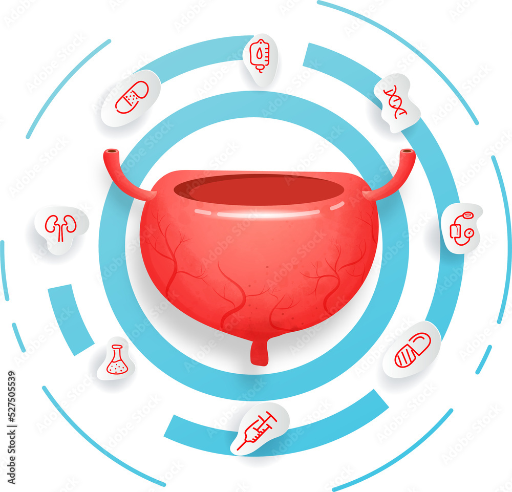 Human bladder and treatment paper cut style. A concept hospital for ...