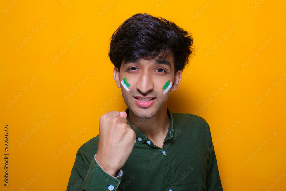 Pakistani, Indian, South Asian young boy celebrating Pakistan Defence ...