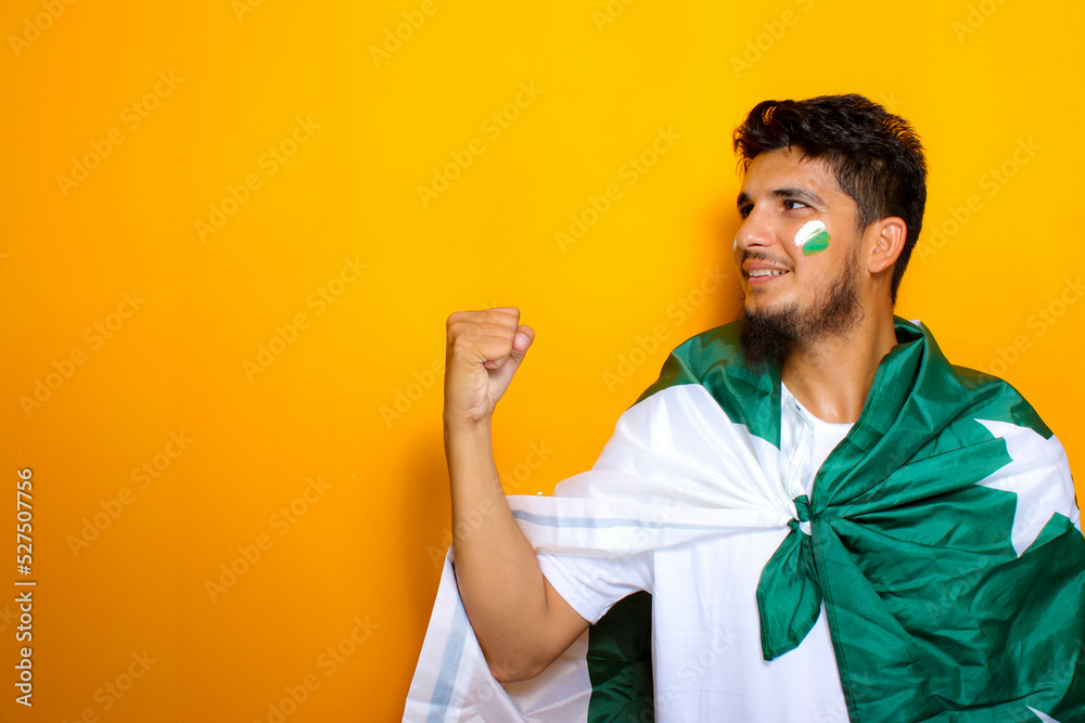 Pakistani, Indian, South Asian young boy celebrating Pakistan Defence ...