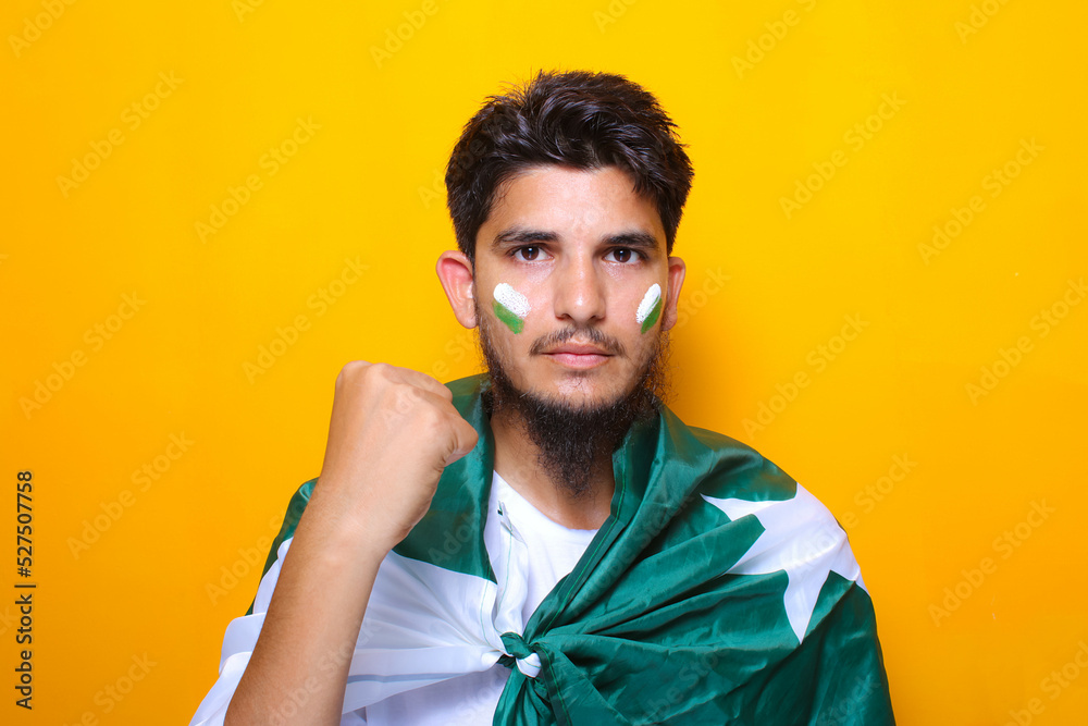 Pakistani, Indian, South Asian young boy celebrating Pakistan Defence ...