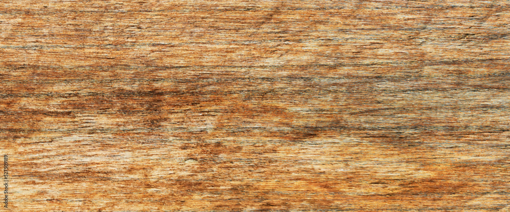 Wood oak tree close up texture background. wooden floor or table with ...