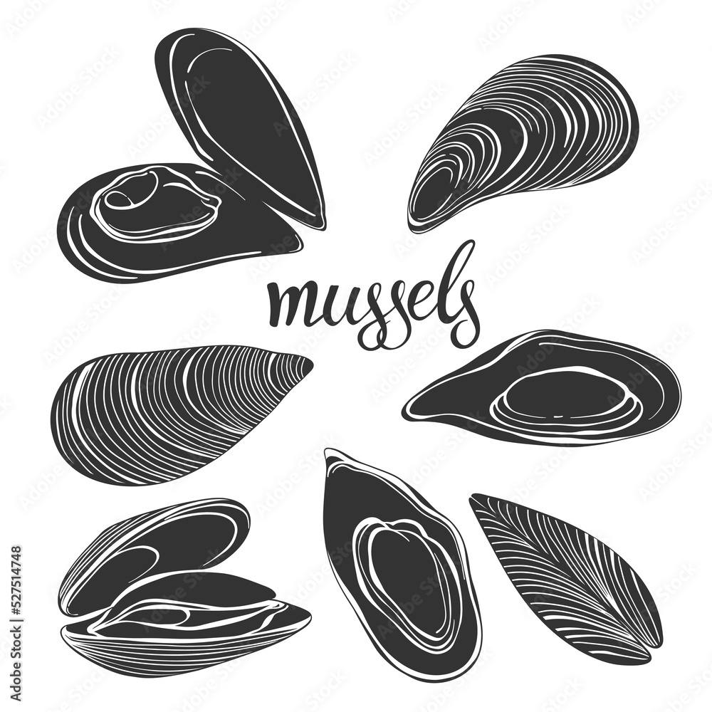 Mussels. Vector illustration, isolated elements on white. Concept for ...