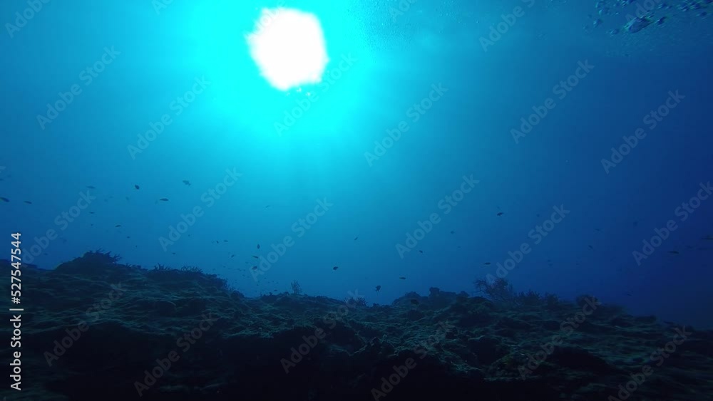 Kuop atoll in Truk lagoon, Chuuk also known as Neoch atoll and ...