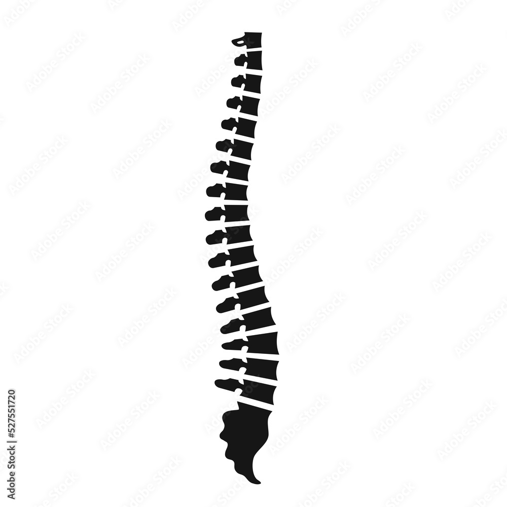 Spine Silhouette Vector