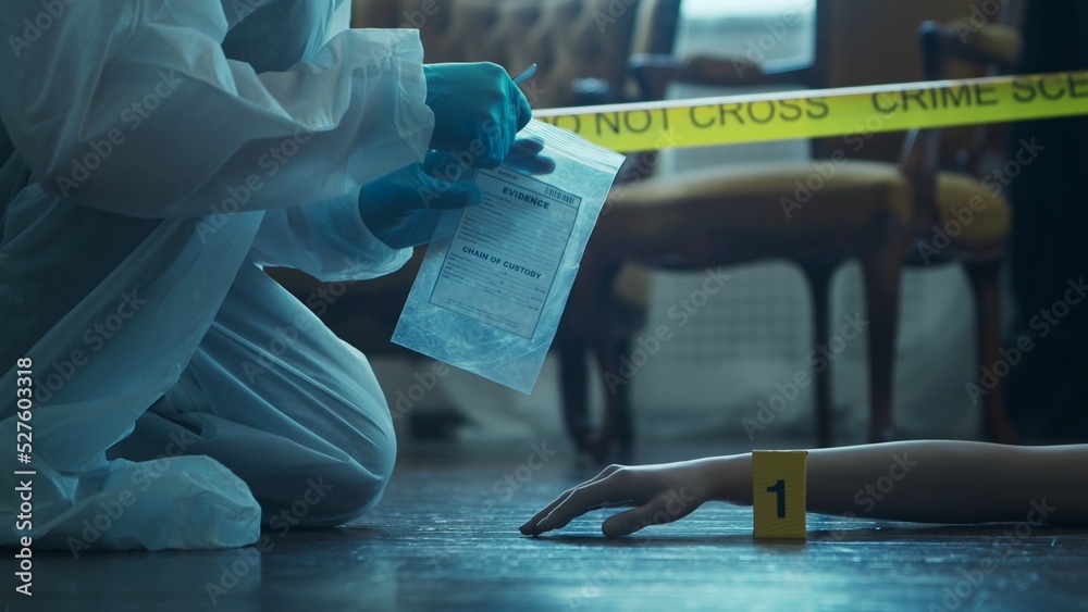 Detective Collecting Evidence in a Crime Scene. Forensic Specialists ...