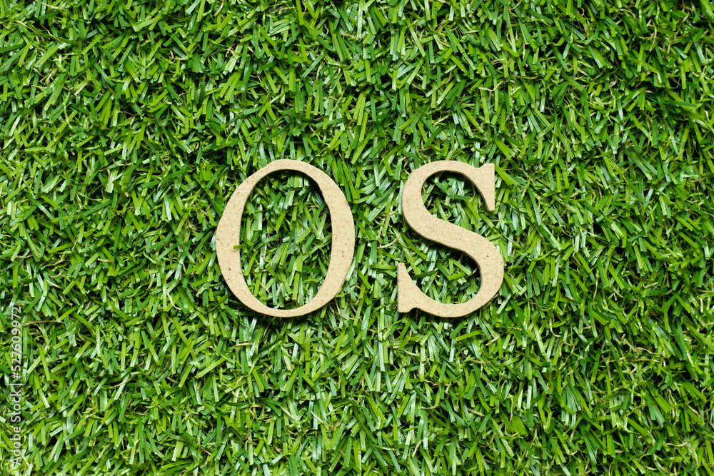 Wood alphabet letter in word OS (Abbreviation of Operating system) on ...