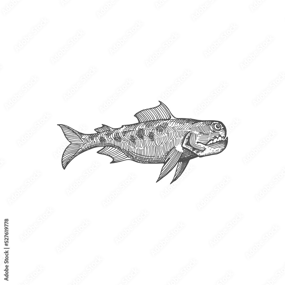 Fangtooth fish isolated monochrome sketch icon. Vector deep ocean or ...