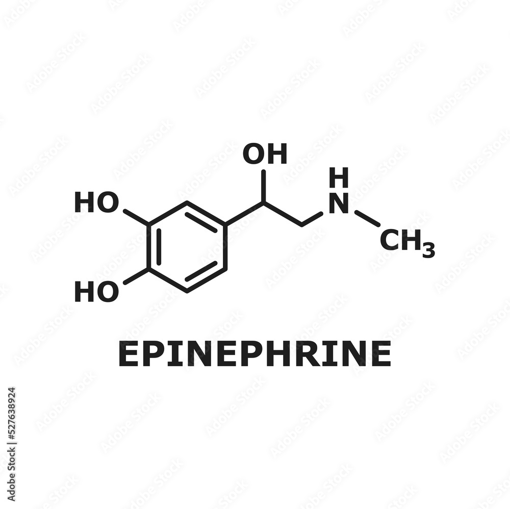 Adrenaline or adrenalin isolated epinephrine neurotransmitter molecule ...