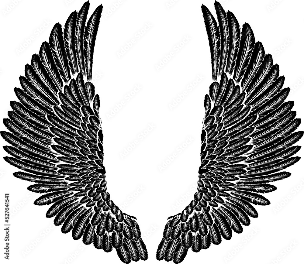 Gothic Wings Design Stock Illustration | Adobe Stock