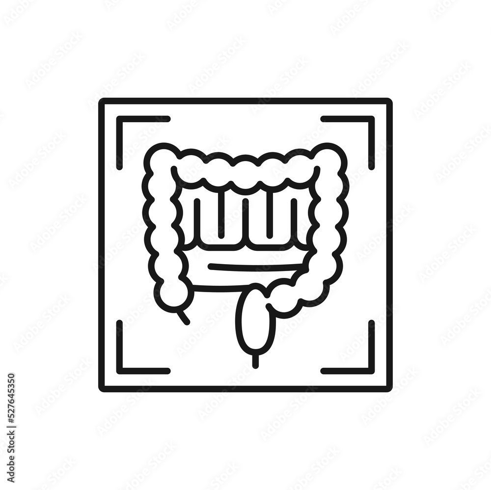Colon mri scan on computed tomography isolated outline icon. Vector ...