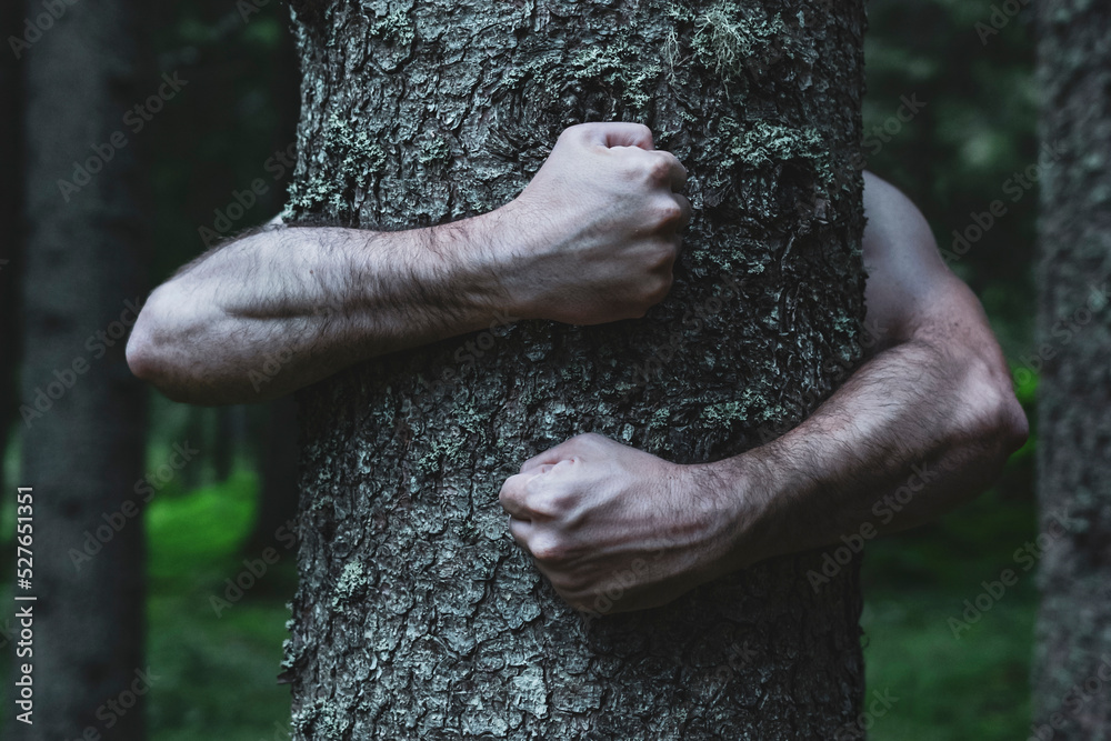 Trunk with human arms. Muscular arms hug a trunk with energy ...