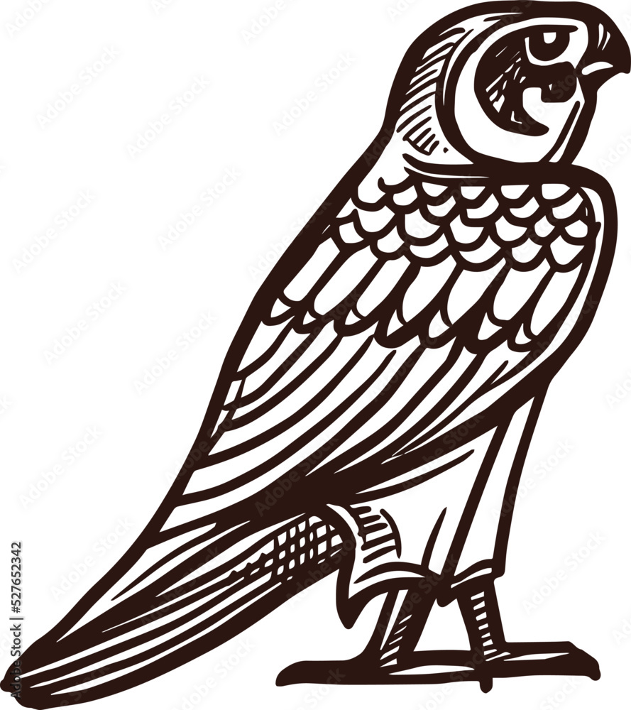 Horus falcon sketch, Ancient Egypt deity and mythology bird, vector ...