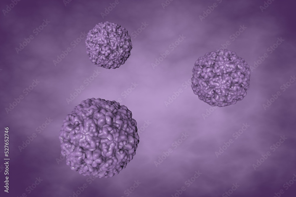 Very peri rhinoviruses. Rhinovirus is the most common viral infective ...