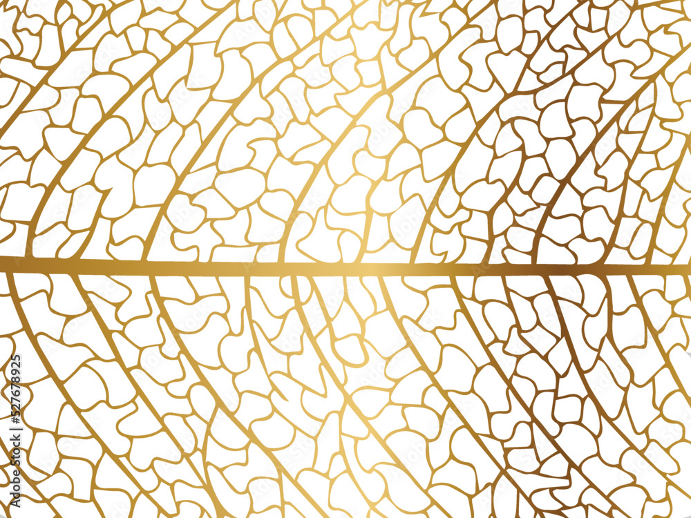Vector illustration of gold leaves. Patterns of skeletal leaf cells ...
