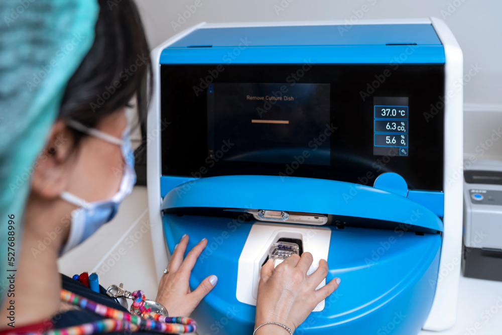 embryologist inserts fertilized egg into embryoscope. EmbryoScope for ...