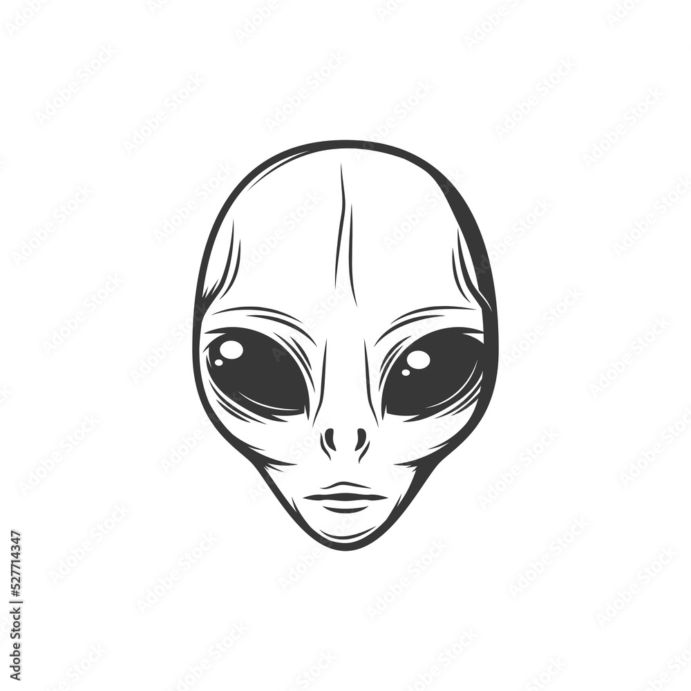 Face of extraterrestrial alien with big black eyes, hypothetical life ...