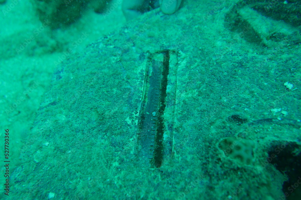 Japanese navy airplane Emily seaplane in WW2 Chuuk (Truk lagoon ...