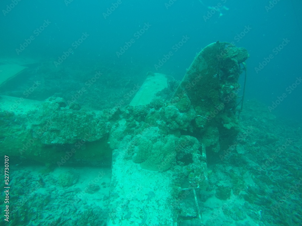 Japanese navy airplane Myrt "Saiun" in WW2. Chuuk (Truk lagoon ...
