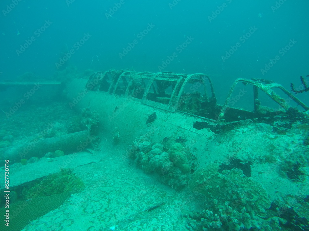 Japanese navy airplane Myrt "Saiun" in WW2. Chuuk (Truk lagoon ...