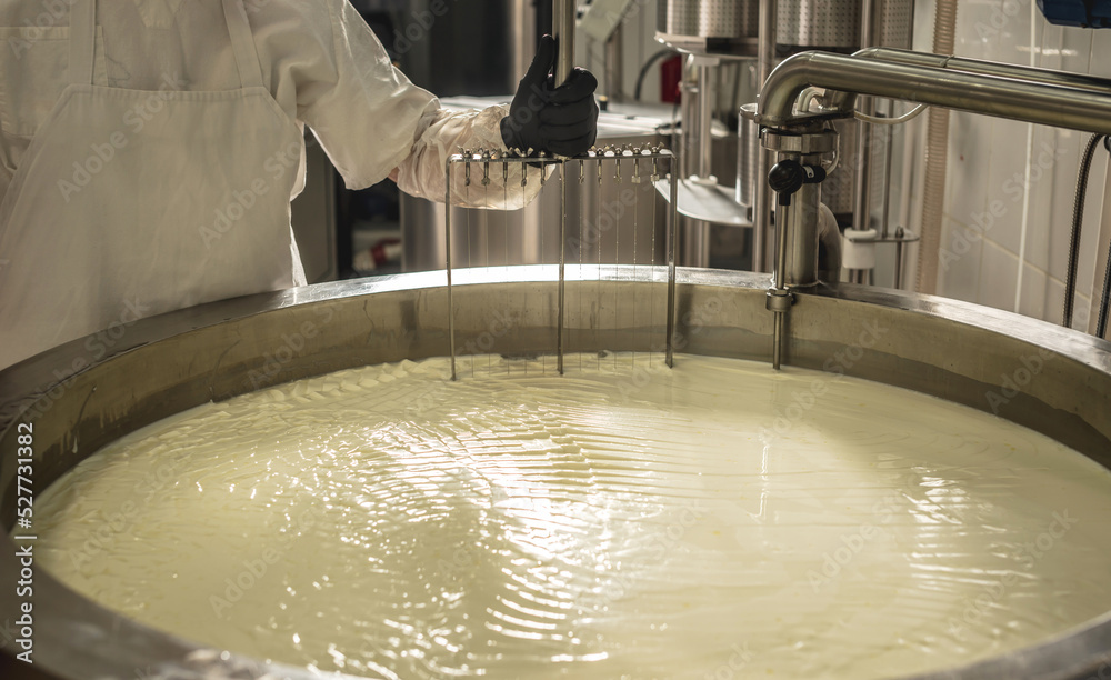 Process of producing different varieties of cheese in industry. Cheese ...