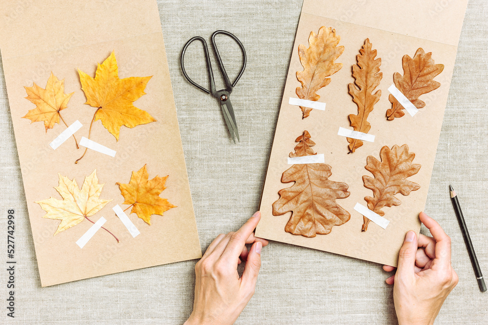Autumn herbarium flat lay with human hands sticking leaves writing name ...