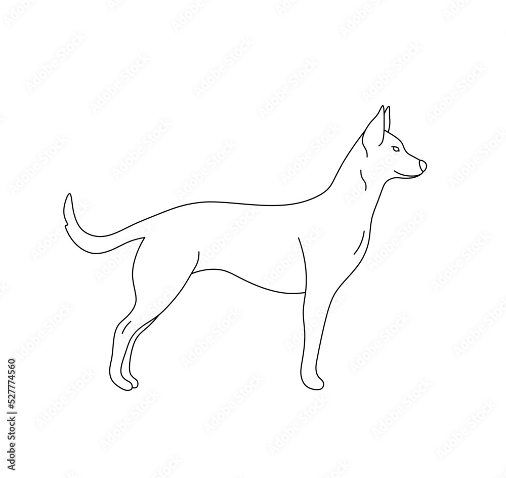 Vector isolated one standing big tall dog side view colorless black and ...