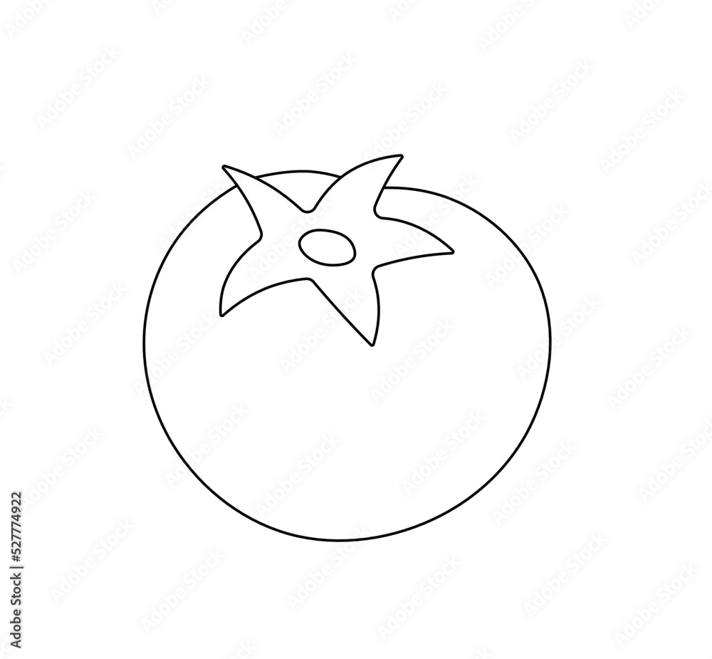Vector isolated one tomato with peduncle colorless black and white ...