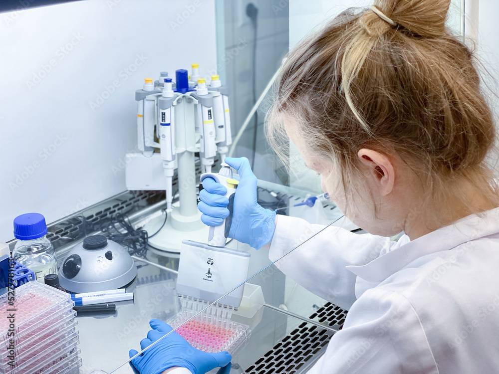 A female PhD student performing a biological experiment on a cancer ...