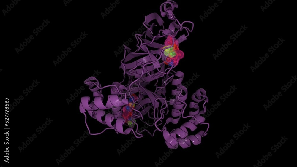 Structure of SARS-CoV-2 main protease (Mpro) in complex with ...