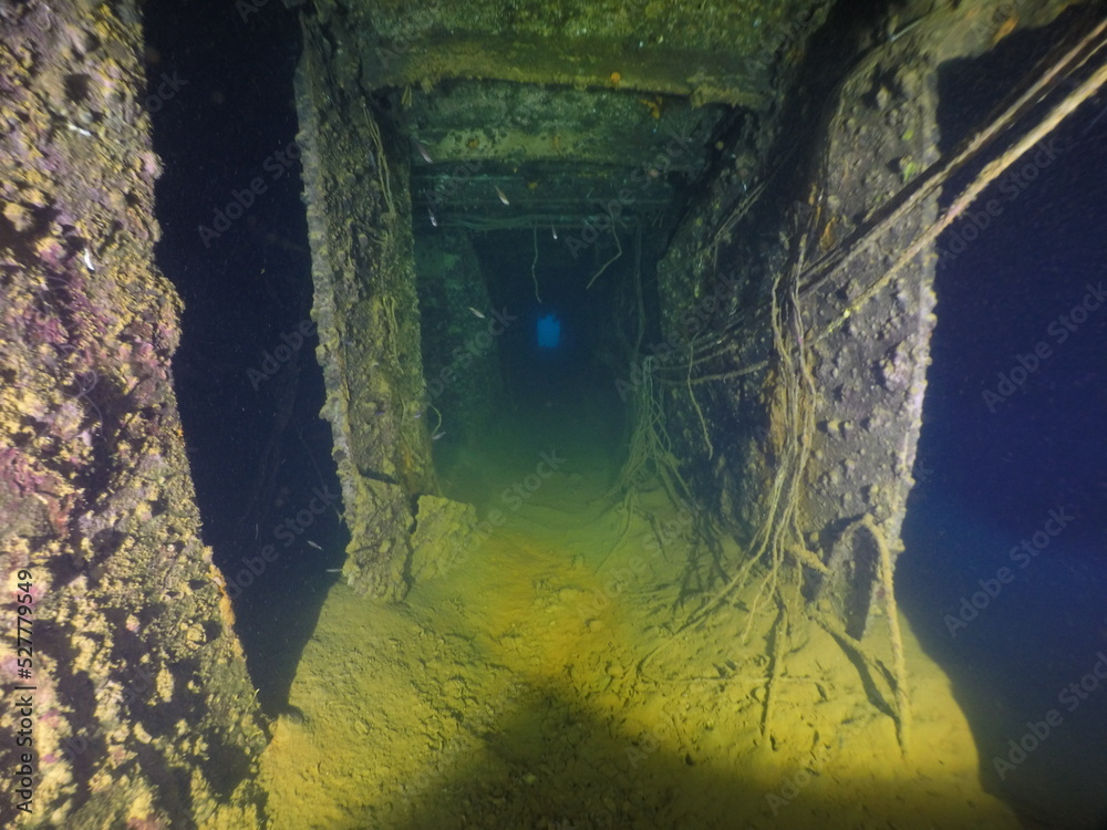 Diving on the "Iro" famous ship wrecks of the Palau archipelago. Diving ...