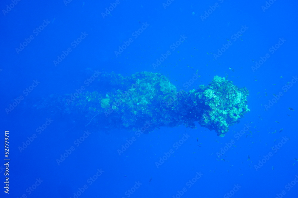 Diving on the "Iro" famous ship wrecks of the Palau archipelago. Diving ...