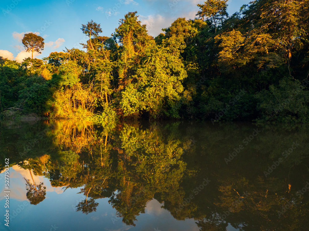 Amazonia - wall of green tropical forest of the Amazon jungle, green ...