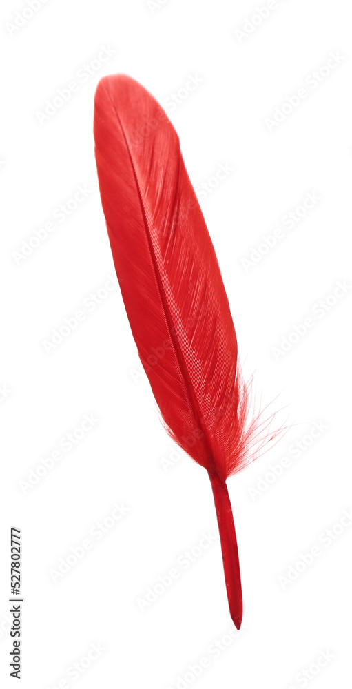 Fluffy beautiful red feather isolated on white Stock Photo | Adobe Stock