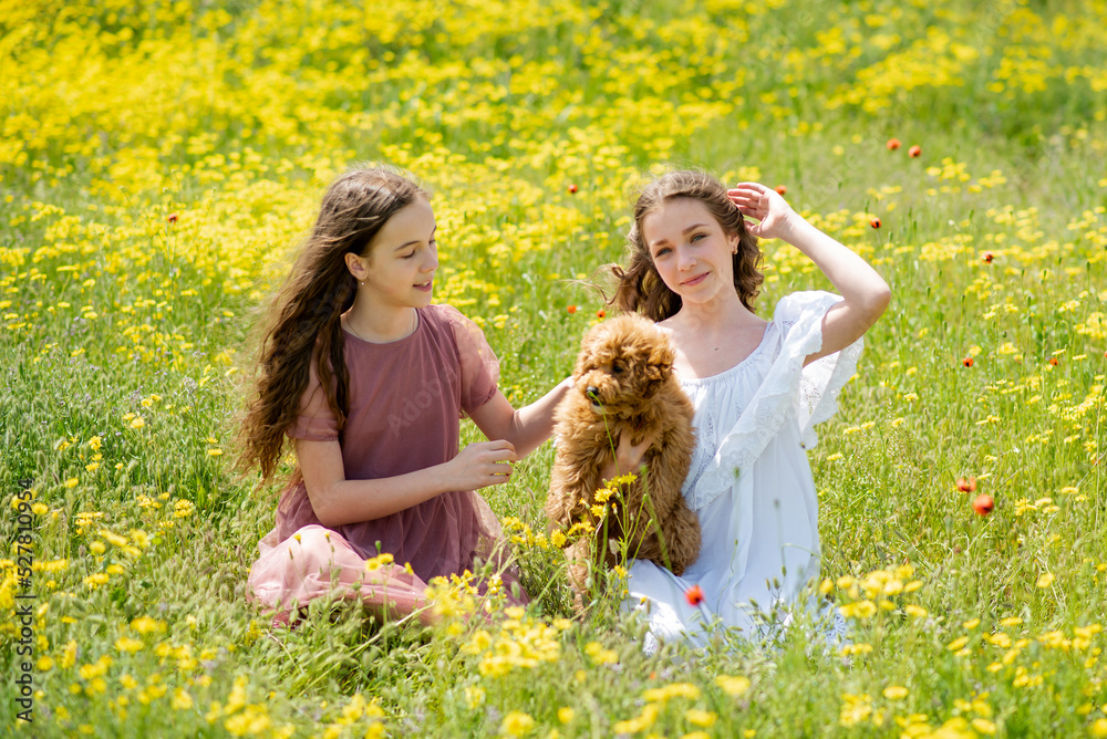 Two teenage girls with a dog in nature communicate and have fun. The ...
