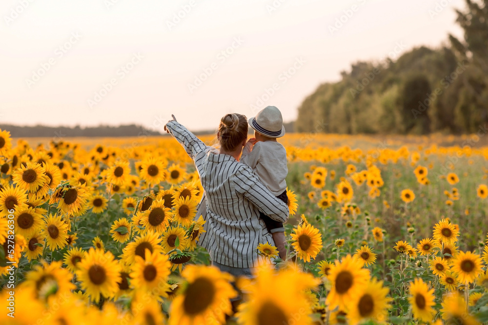 Mom and son play in a field of sunflowers at sunset. People have fun in ...