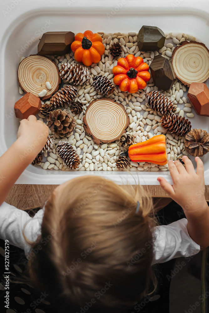 Fall Sensory Bin. Toddler playing with pumpkins, cones and dried beans ...