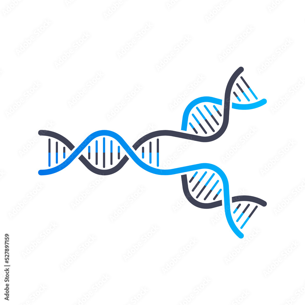 DNA replication. DNA molecules, molecular biology. Vector stock ...