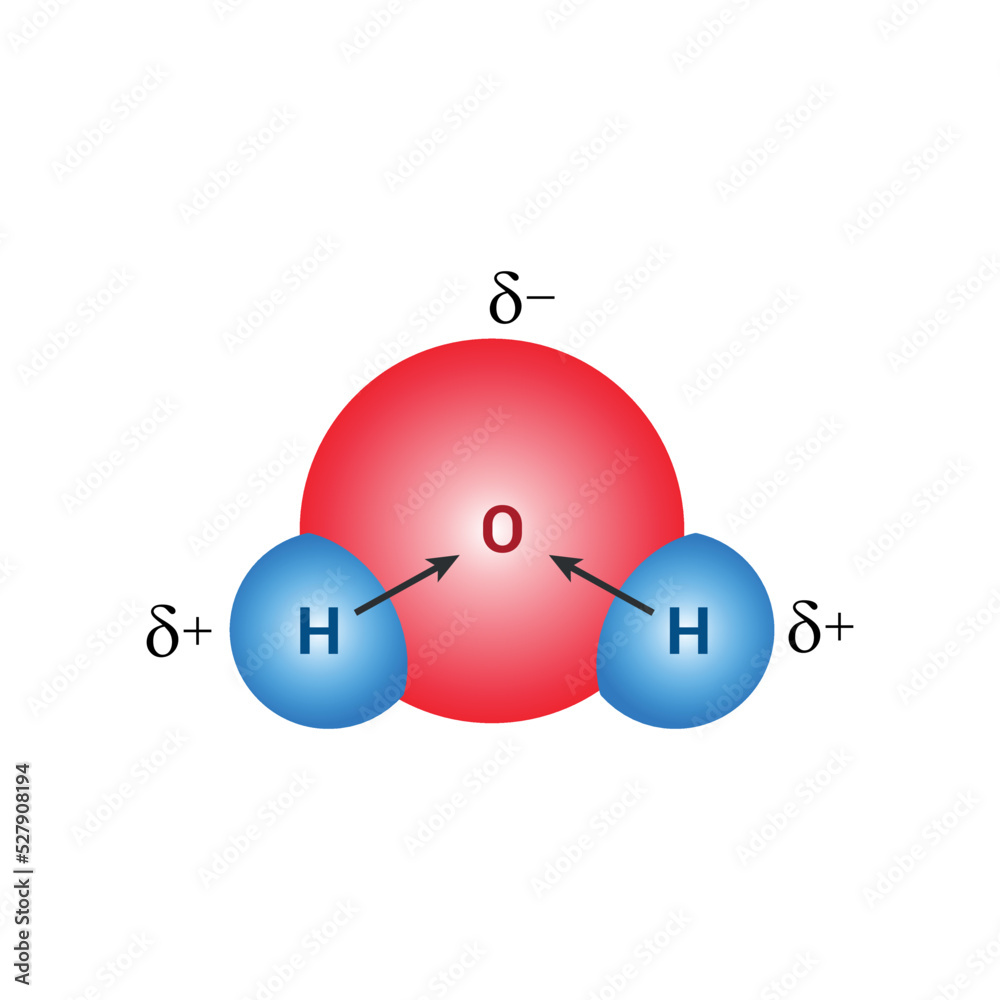 Poster the polar covalent bonds of water molecules (H2O) – Wall Art ...