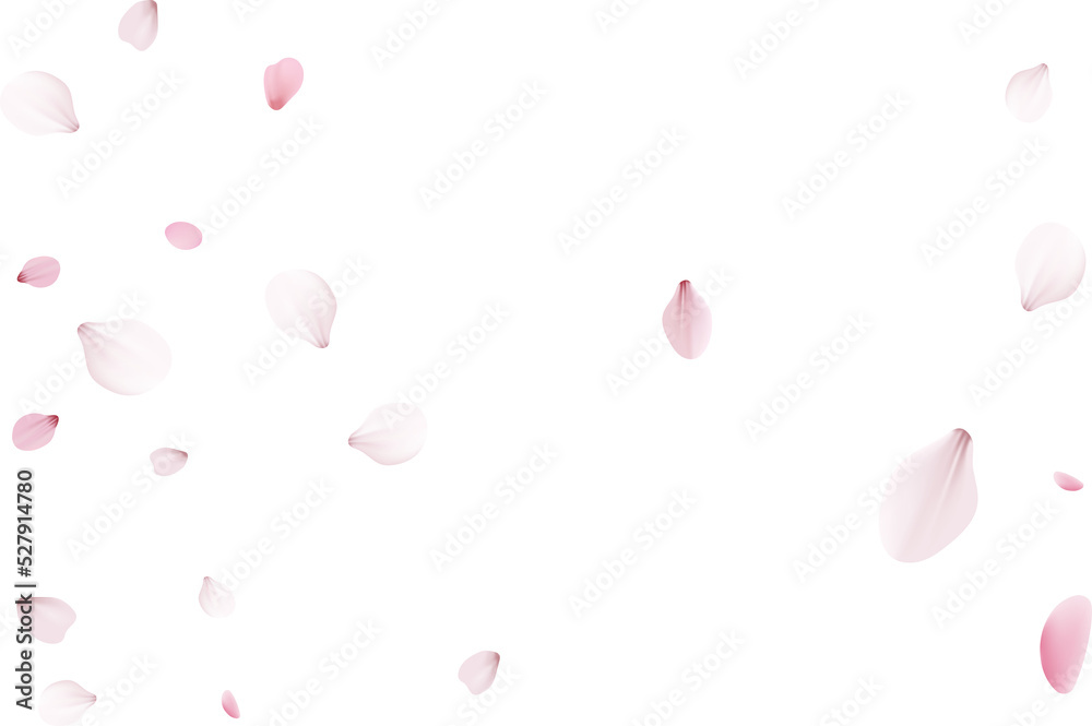 Flying sakura petals. Stock Illustration | Adobe Stock
