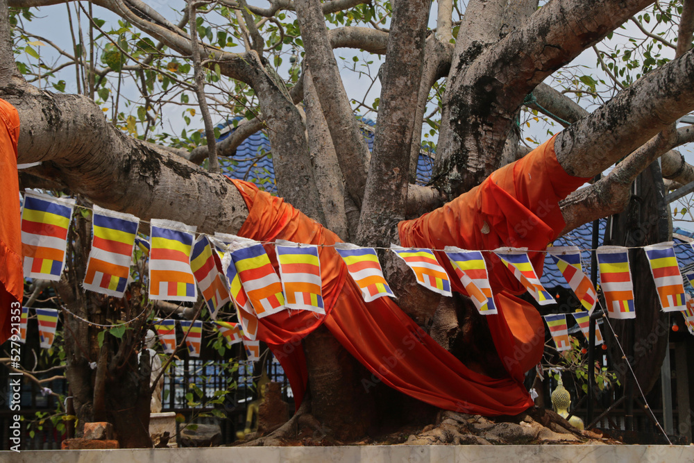 Bo Tree in Seema Malaka, Buddhist temple in Colombo, part of ...