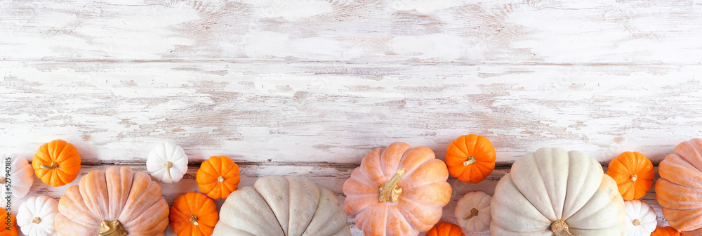Fall bottom border of pumpkins of various sizes and colors over a ...
