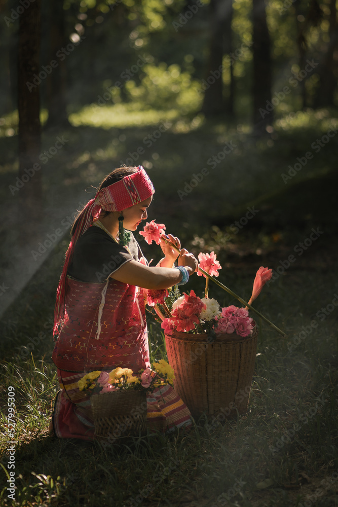 Beautiful Asian young tribal lady in the native traditional dress ...
