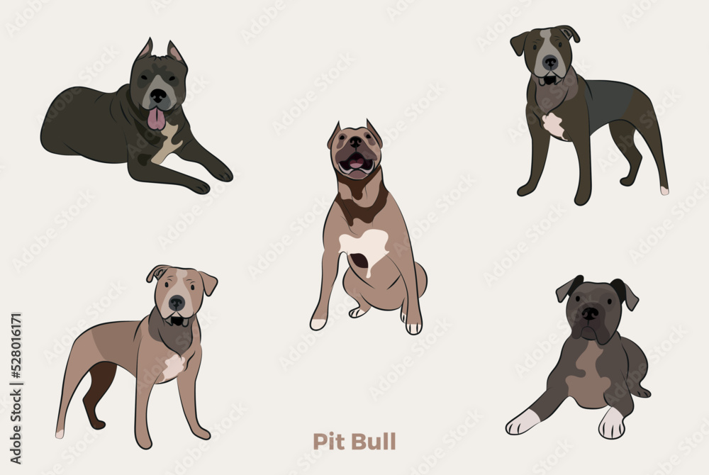 Vektorová grafika „Pit bull breed, dog pedigree drawing. Cute dog ...