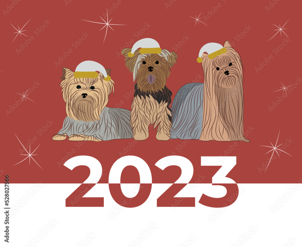 Yorkshire terrier breed, dog pedigree drawing. Cute dog characters in ...