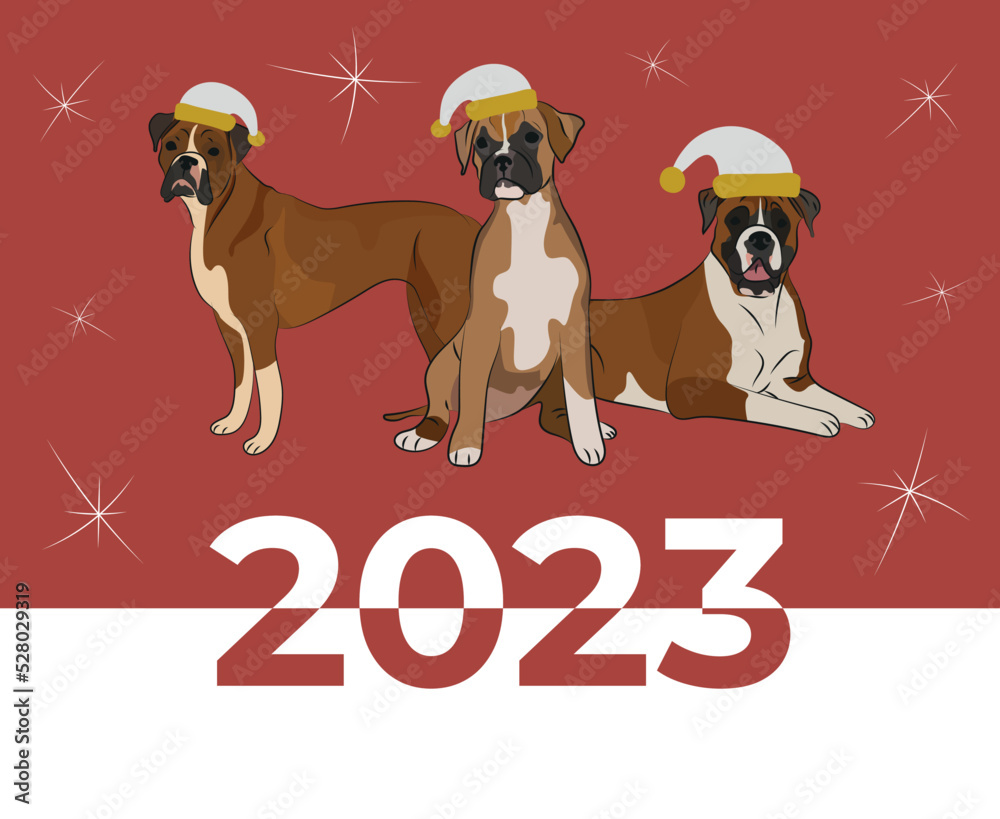 Boxer breed, dog pedigree drawing. Cute dog characters in various poses ...