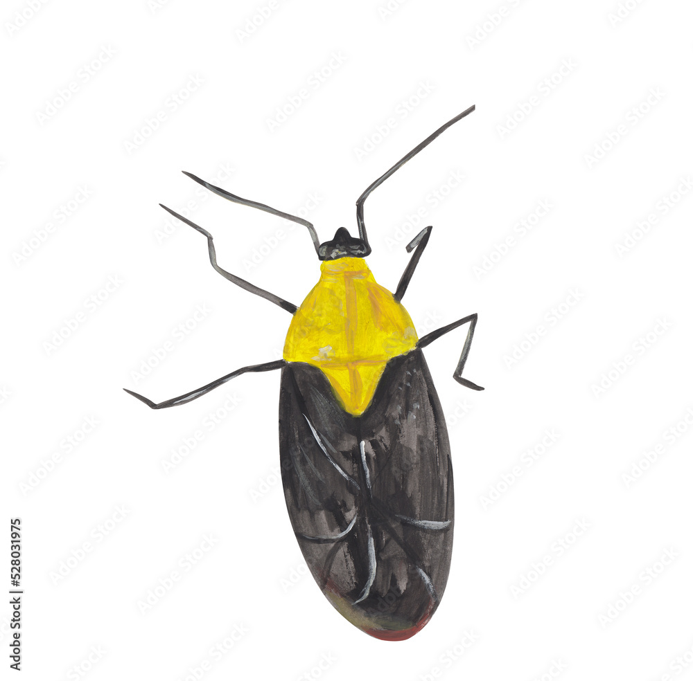Yellow plant bug gouache illustration Hand painted png clipart with ...