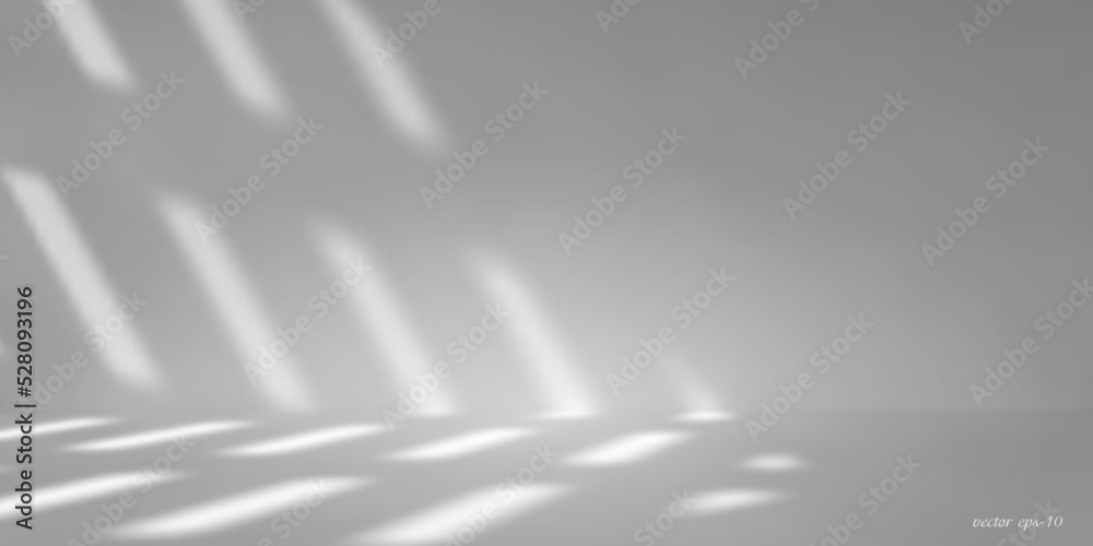 White background with shadows and sunlight.Studio banner.Design room ...