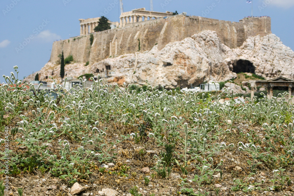 Athens, Greece, looking at the Acropolis and the Parthenon from the ...