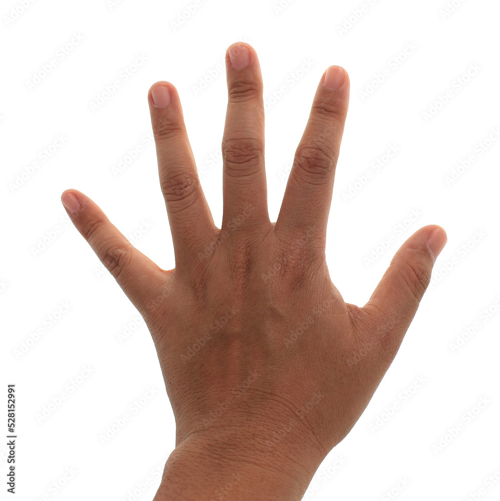 hand on transparent background png file Stock Photo | Adobe Stock