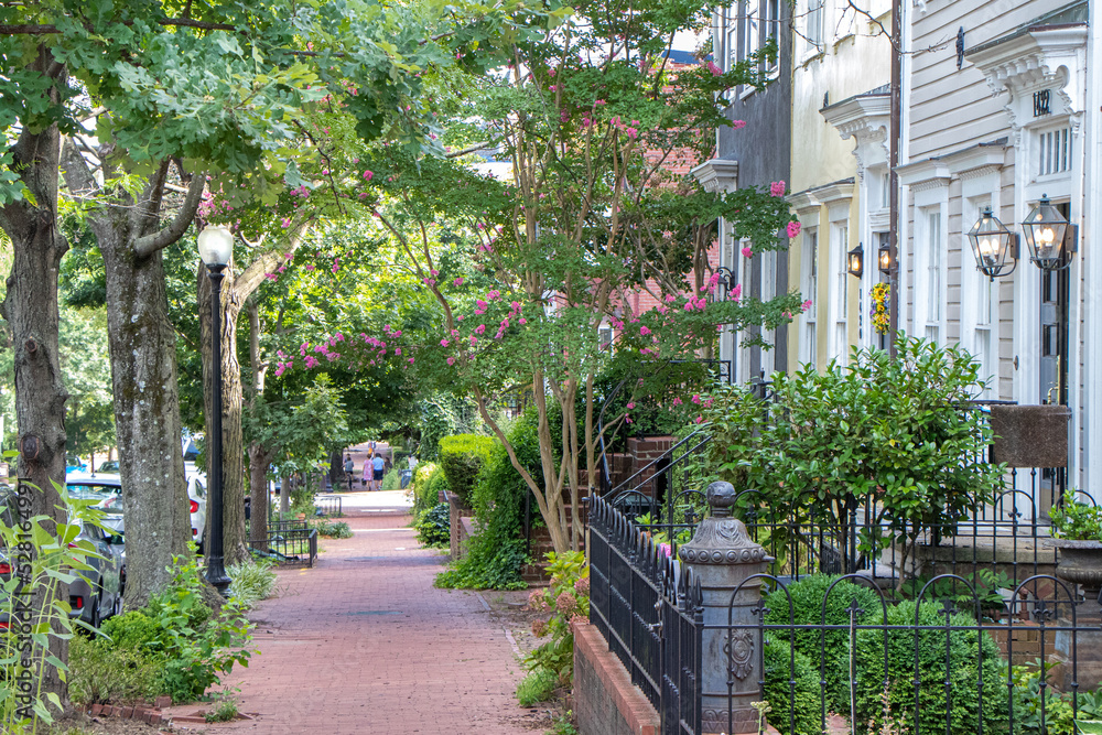 Brick sidewalk in old, beautiful Washington DC neighborhood on a summer ...